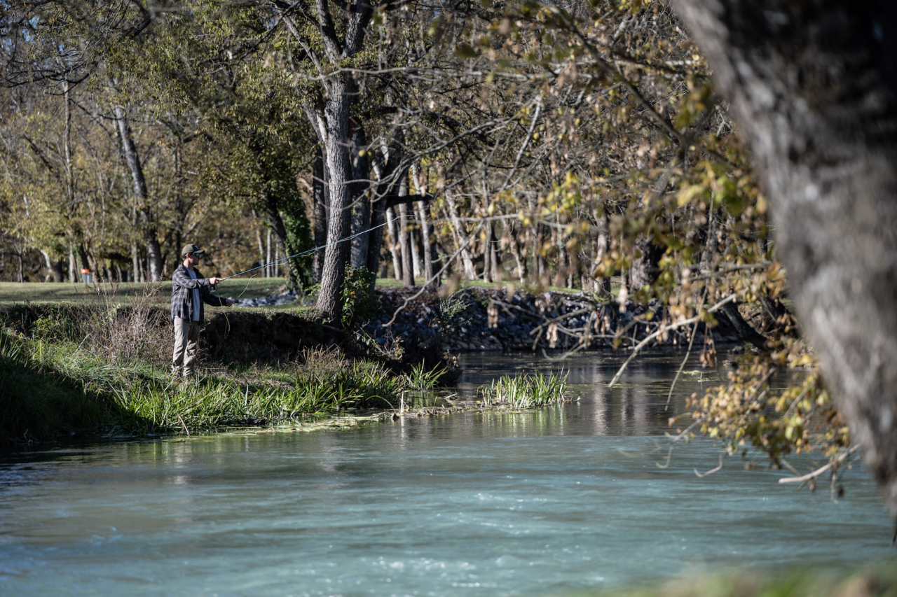 Mossy Creek Trout Stocking Returns After Decades - Lakeside of the Smokies
